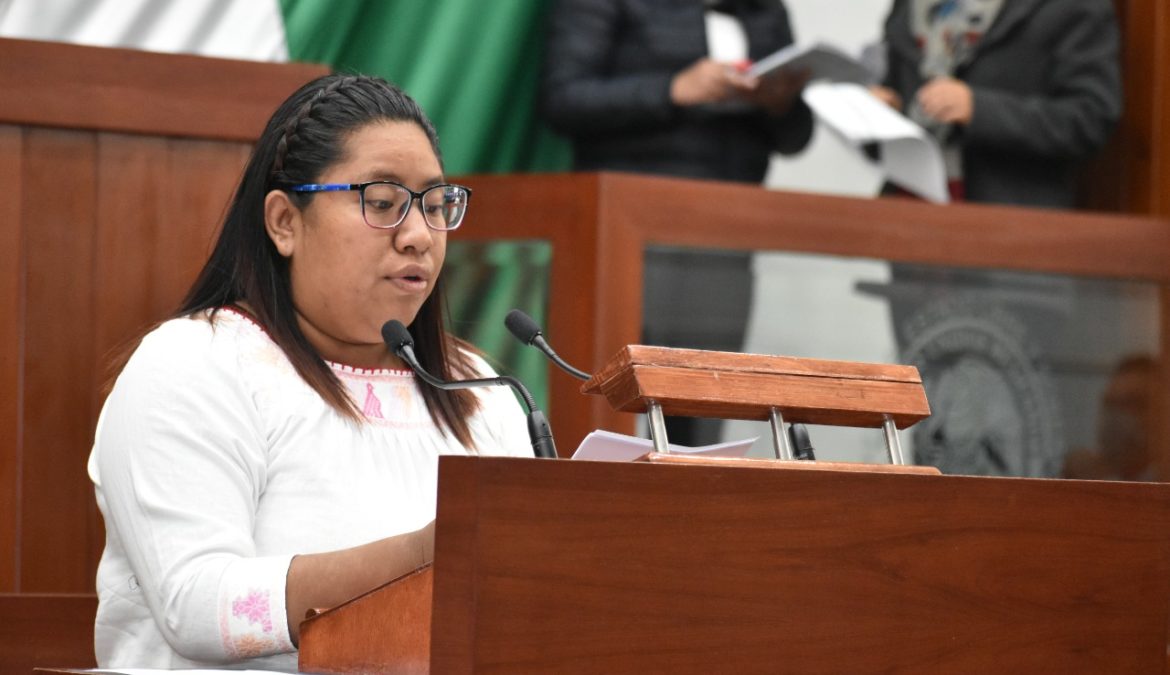 DIPUTADA BRENDA CECILIA VILLANTES PRESENTA INICIATIVA DE EXHORTO PARA ...